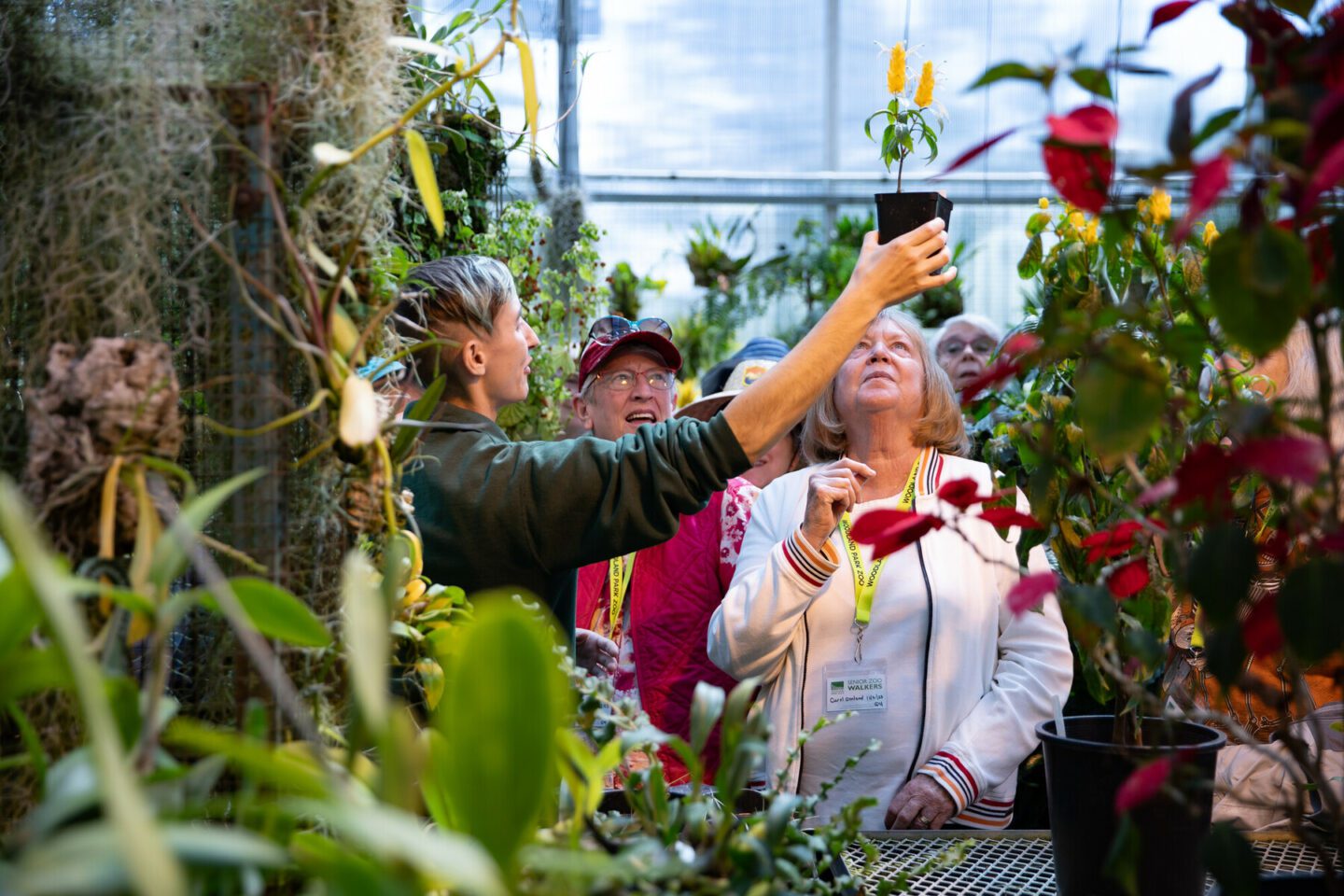 Woodland Park Zoo - Gene & Irene Wockner Foundation